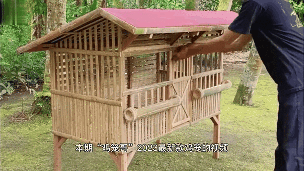 自制家用鸡笼视频图标