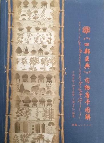 大解果中药名叫什么图标