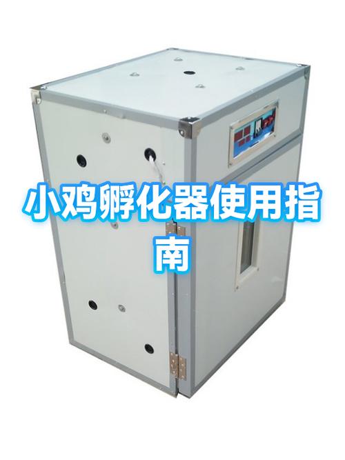 用孵化器孵化小鸡要注意什么图标