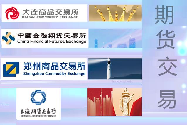 期货交易所网站图标