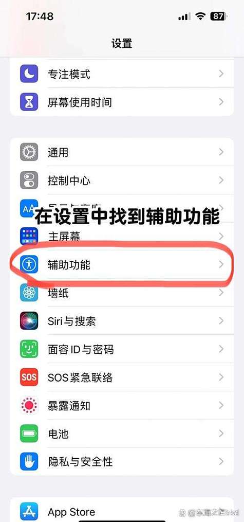 苹果手机辅助触控在哪里图标
