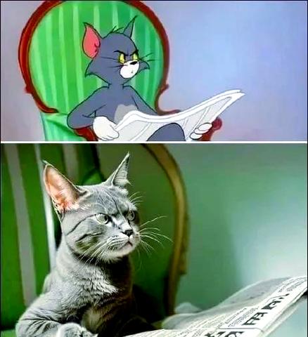 猫和老鼠靠墙图片图标