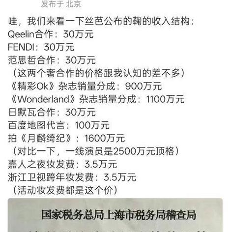 一线明星的收入截图