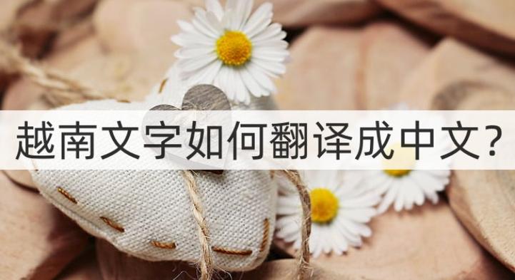 越南怎么设置成中文版图标