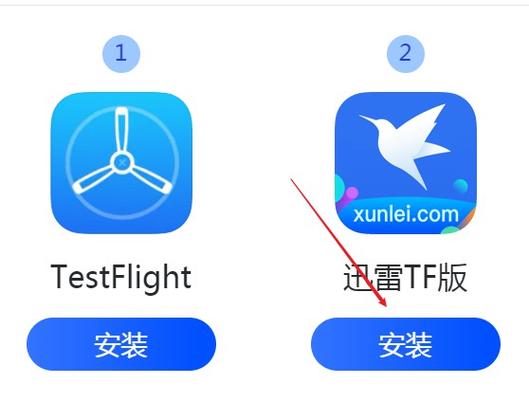 ios迅雷安装完灰了图标