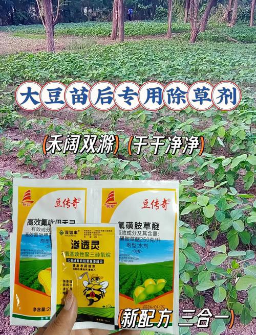 网上买的黄豆安全吗图标