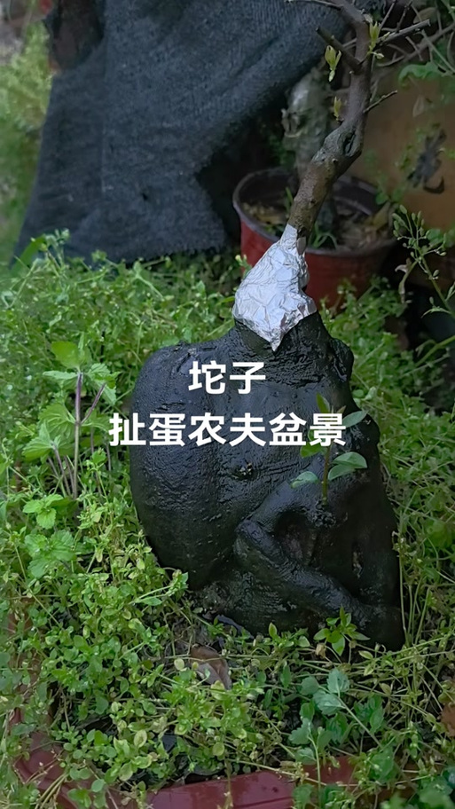 坨子旧版本截图