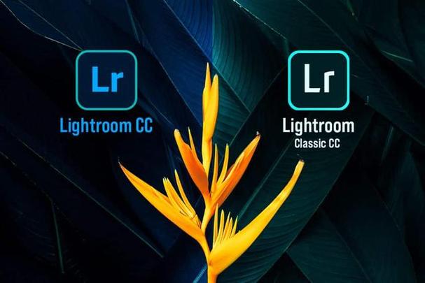 Lightroom官方免费版图标