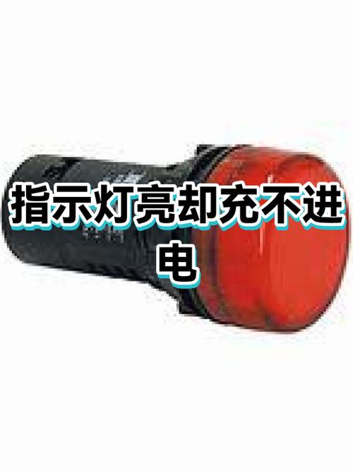 充电指示灯亮但充不进电图标