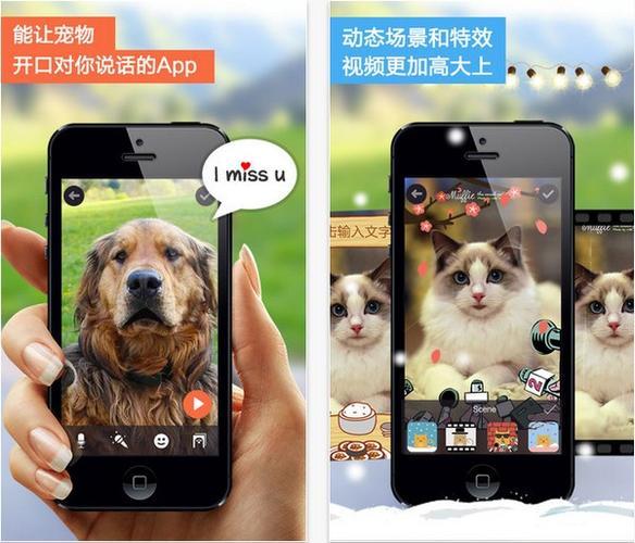 我的宠物8图标