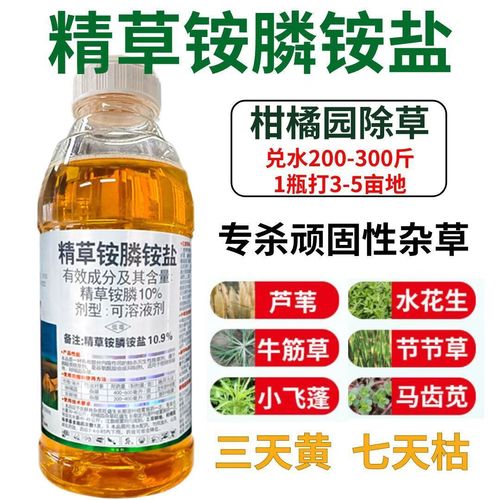 晴天除草国际服图标