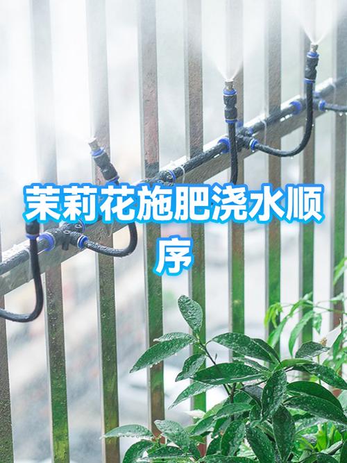 茉莉花施肥方法图标