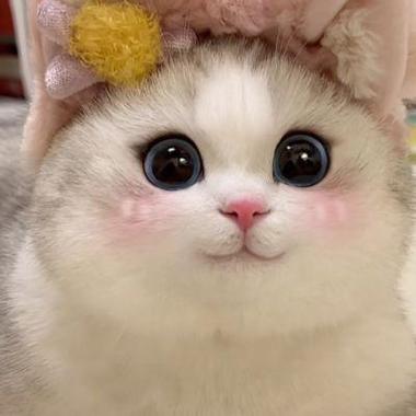 动漫小猫图片最萌头像截图