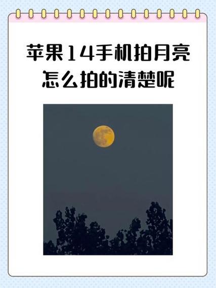 使用专业模式拍摄时的注意事项