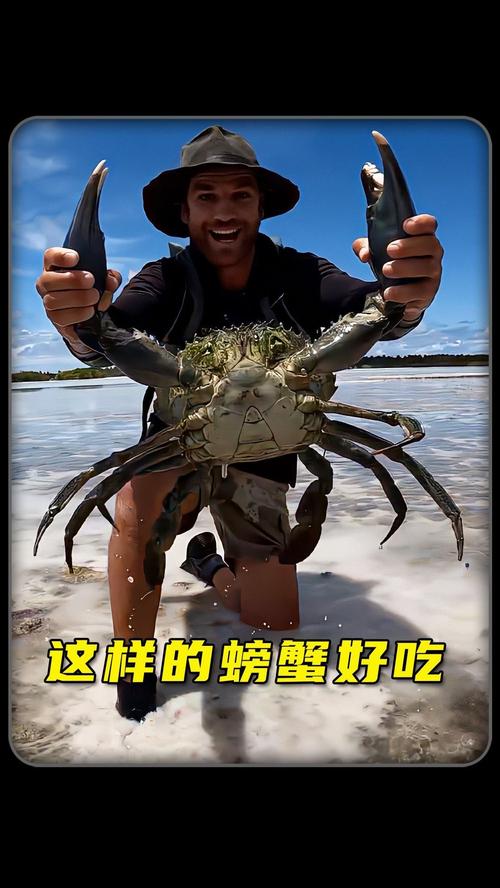 最新螃蟹养殖模式视频图标