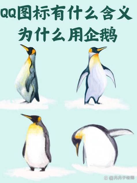 企鹅什么意思网络语图标