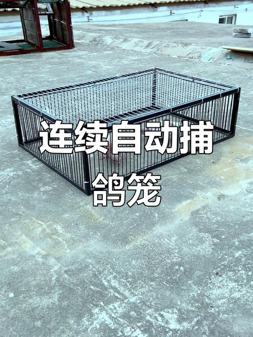 抓鸽子自动笼子图标