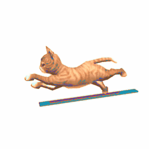 小猫跑步的游戏图标