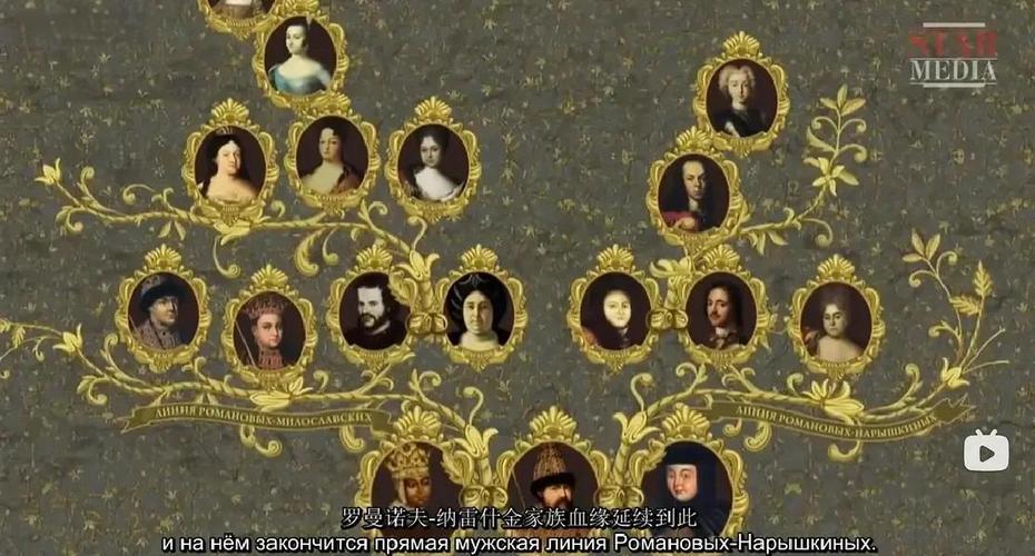 豆瓣评分最高的纪录片截图