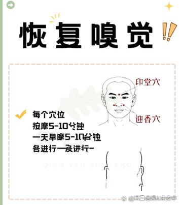 鼻子没有嗅觉闻不到味怎么治图标