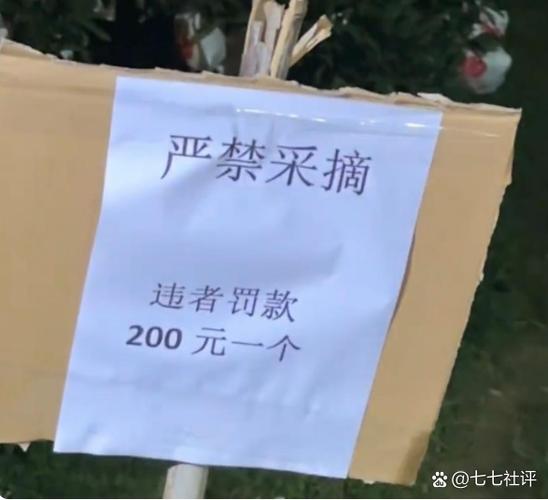 甘蔗几月份就不能吃图标