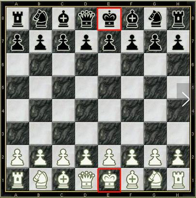 国际象棋剩下两个王截图