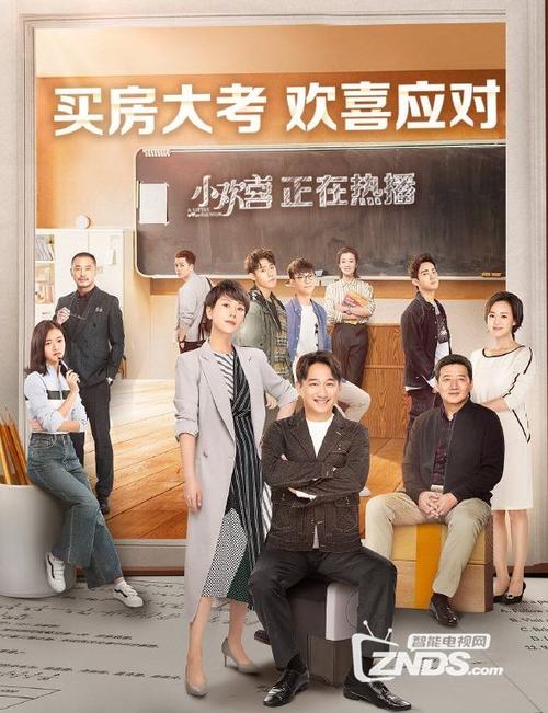 小欢喜首播图标