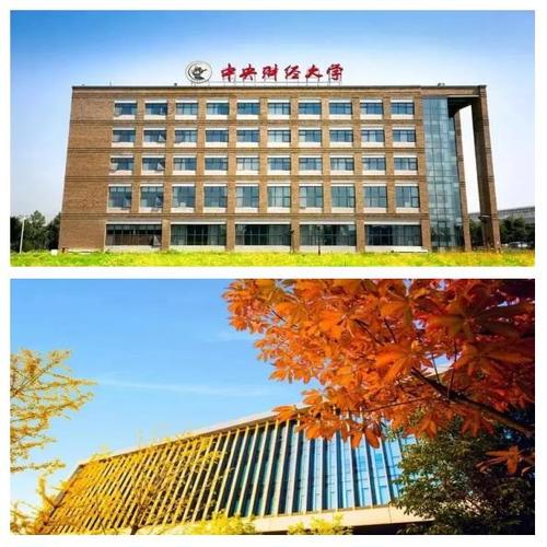 中央财经大学网站