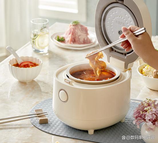 本釜电饭煲和球釜哪个好图标
