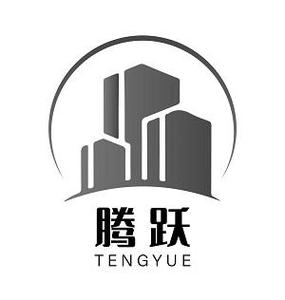 腾跃公司是干什么的图标