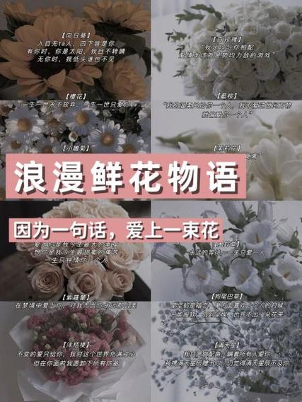 花的浪漫物语图标