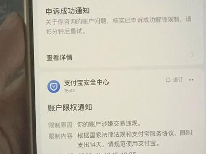 未满十六岁支付宝余额限额怎么办图标