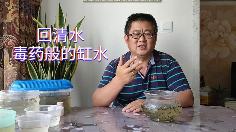 鱼缸水浑浊突然变清了图标