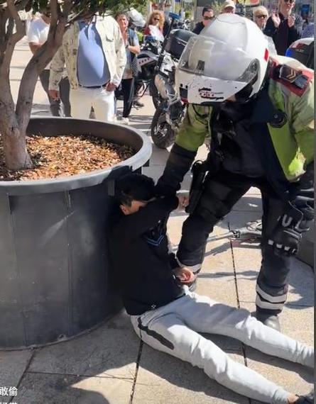 抓住小偷图标