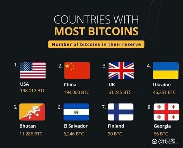 使用比特币的国家图标