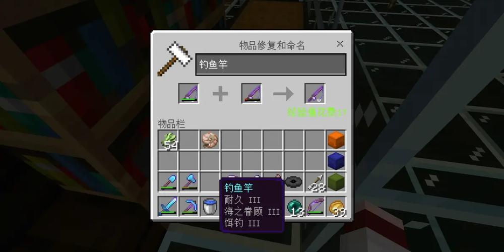 我的世界海之眷顾和钓饵截图