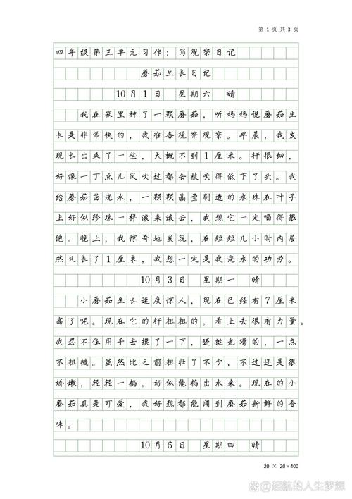 蘑菇钉打卡日记图标