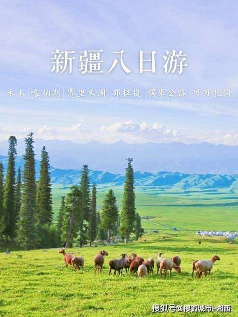 新疆旅行团旅游八天需多少钱图标