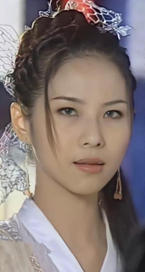 倚天屠龙记 后传图标