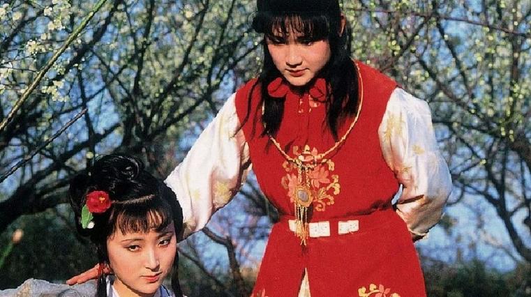 胎穿红楼得传承图标