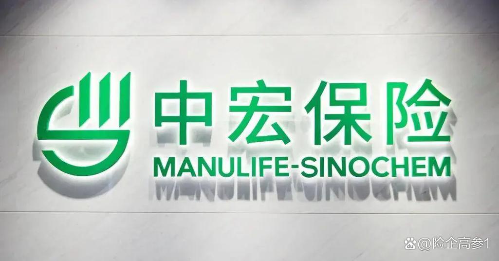 中宏保险官网图标
