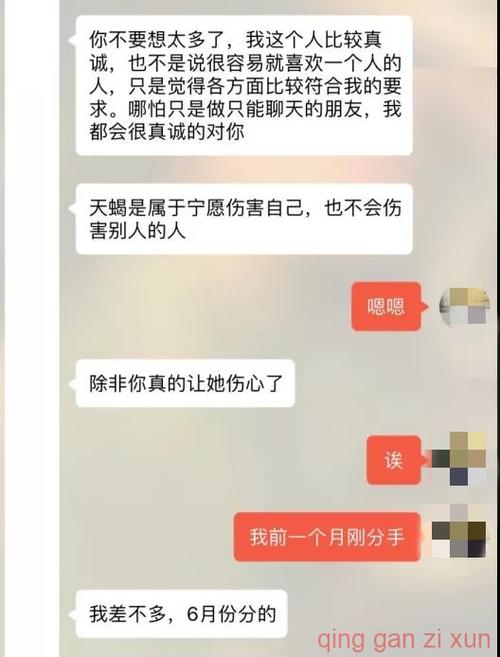 探探解除匹配聊天记录还在吗图标
