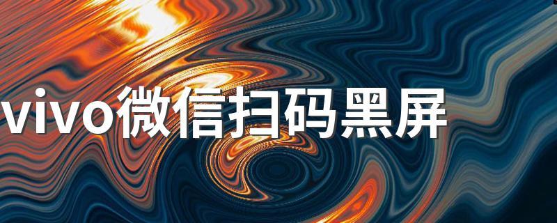 vivo微信扫码黑屏图标