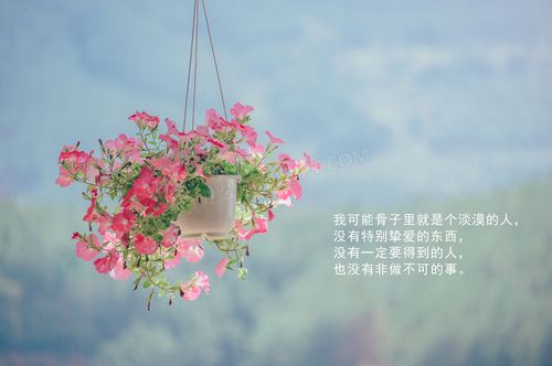 qq空间经典说说图标