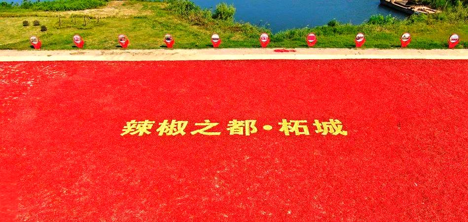 中国辣椒第一县柘城县图标