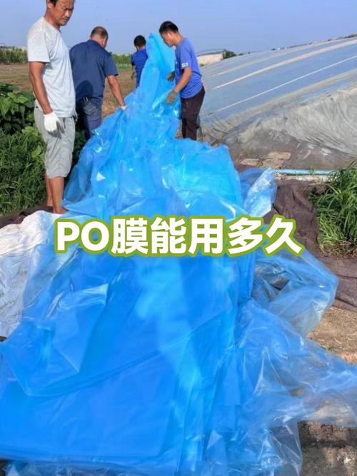 po膜一般寿命多长图标