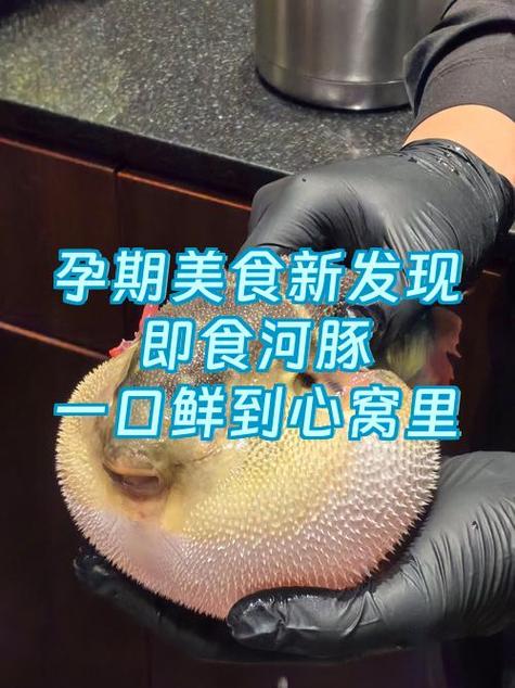 即食河豚品牌排行榜截图