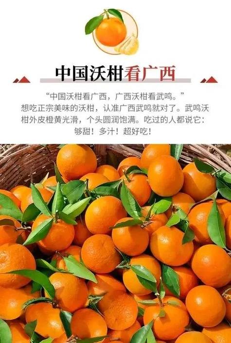 吃桔子上火还是降火