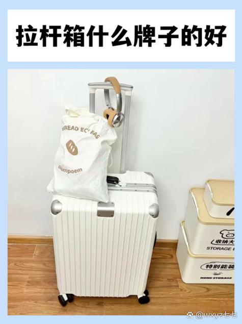 新秀丽旅行箱图标