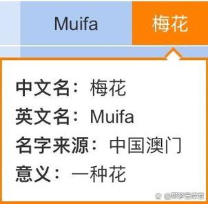 梅花app改名后叫什么名字图标